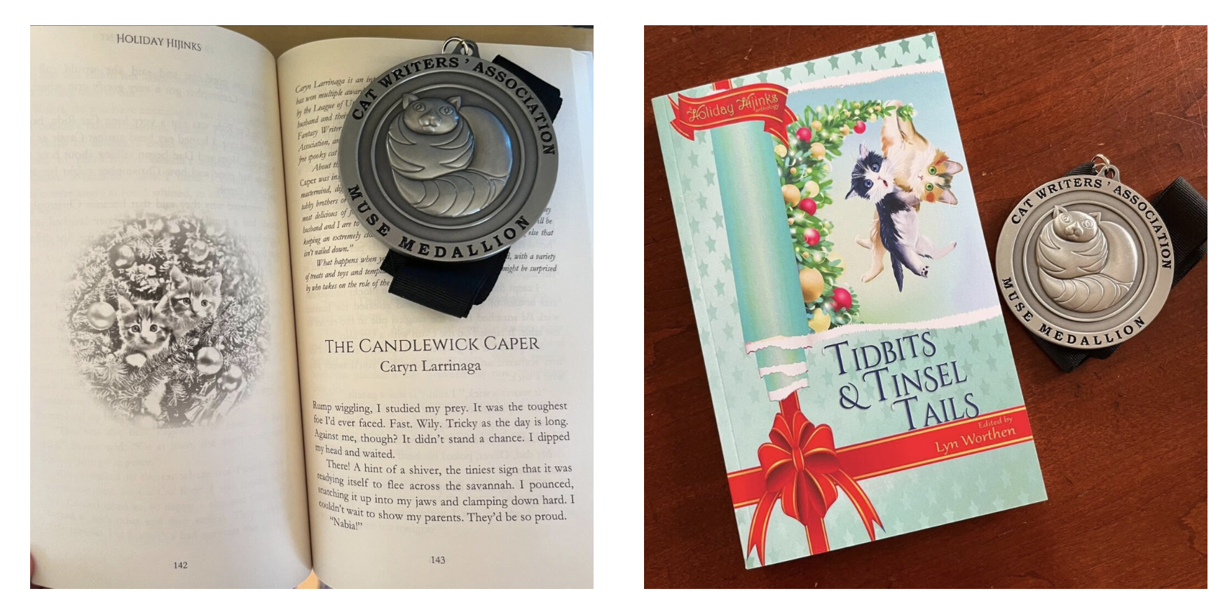 “The Candlewick Caper" has won the Muse Medallion!! - Caryn Larrinaga